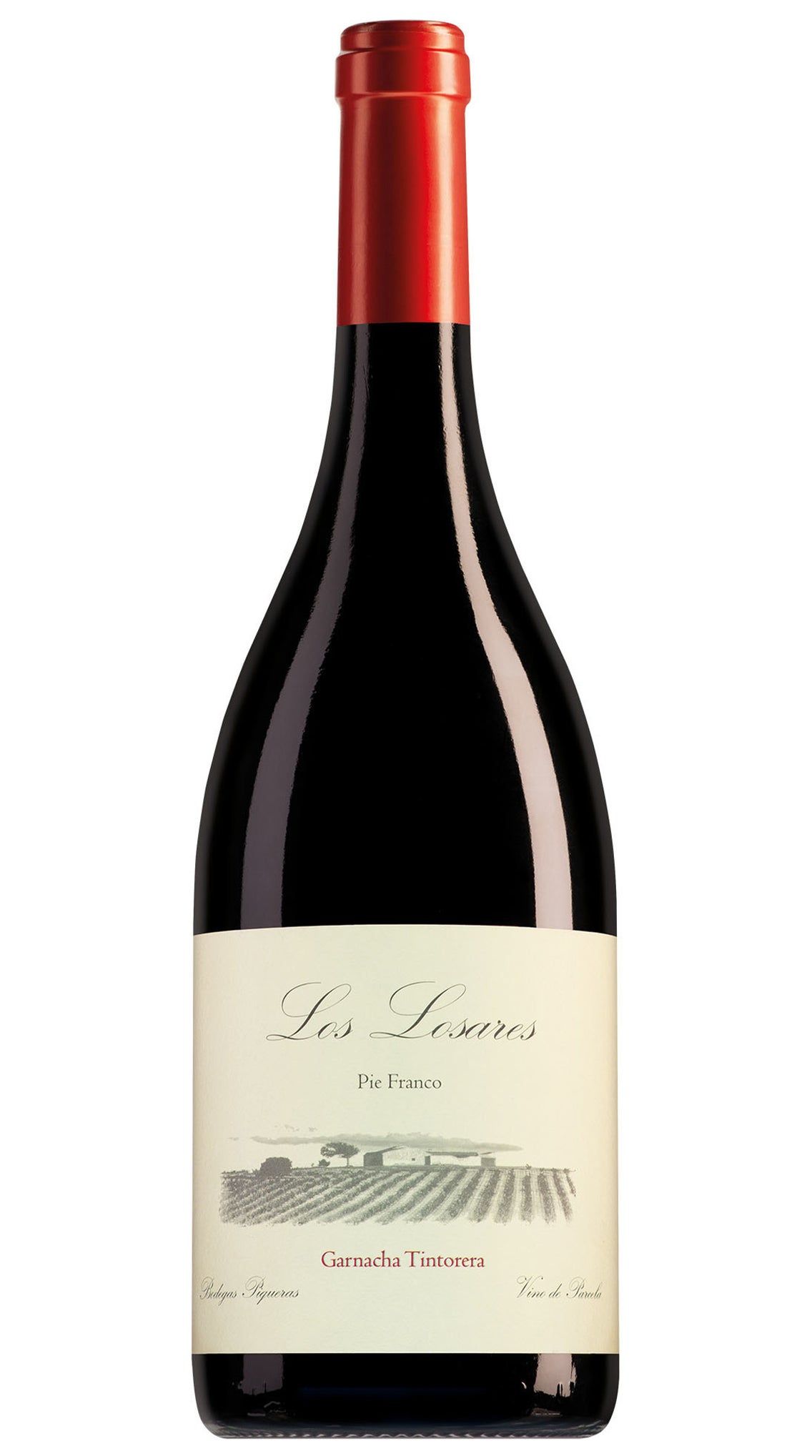 2017 Bodegas Piqueras Los Losares Garnacha Tintorera - Fine Wine Delivery